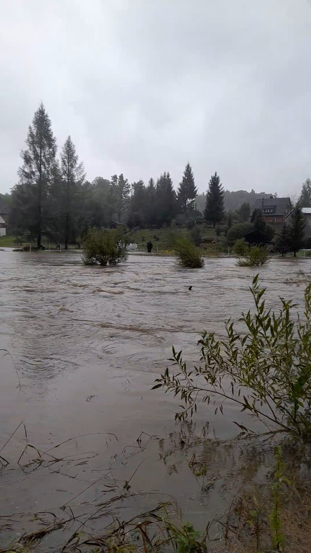 Bóbr w Trzcińsku wylewa - Jelonka.com - wiadomości Janowice Wielkie